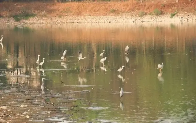 Dorekere Lake: A Hub of Biodiversity in Bengaluru | News Karnataka