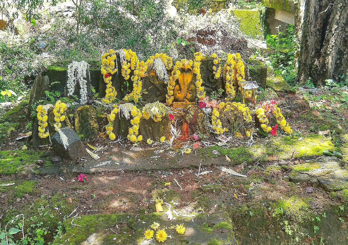 Nagaradhane: The Sacred Serpent Worship of Tulunadu | News Karnataka