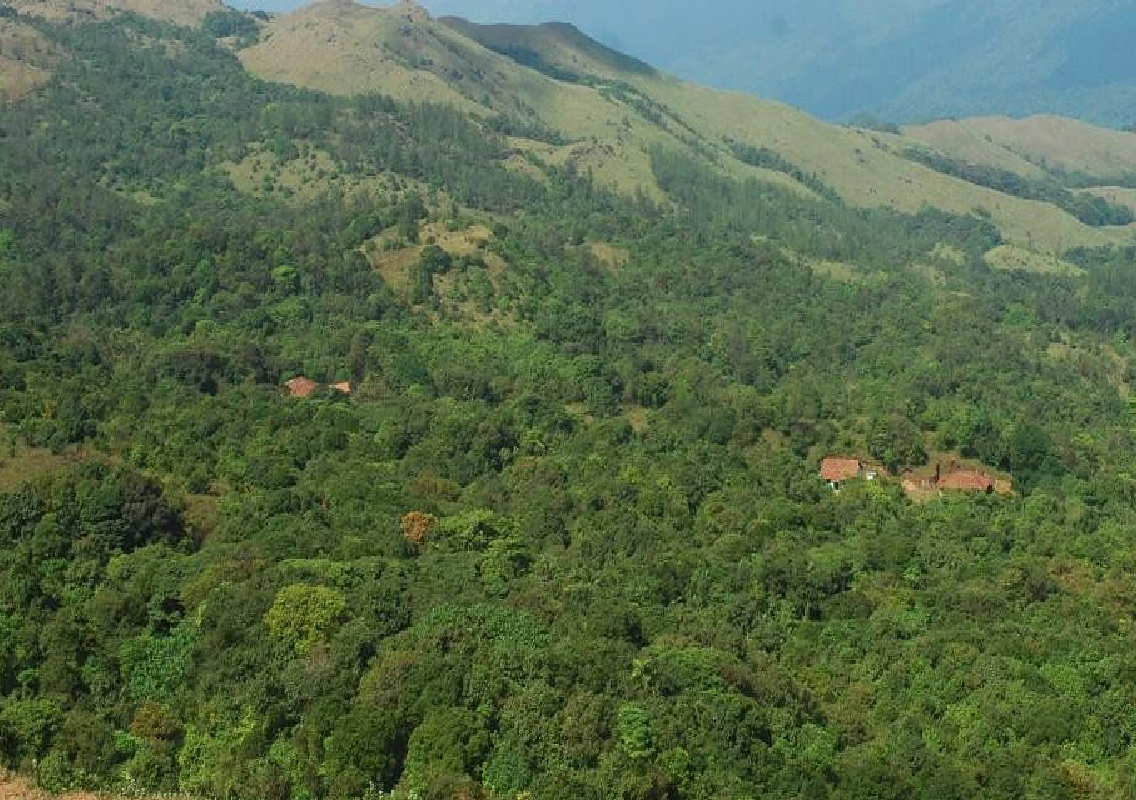 Quarry jolt to 400 acres of Hassan deemed forest | News Karnataka