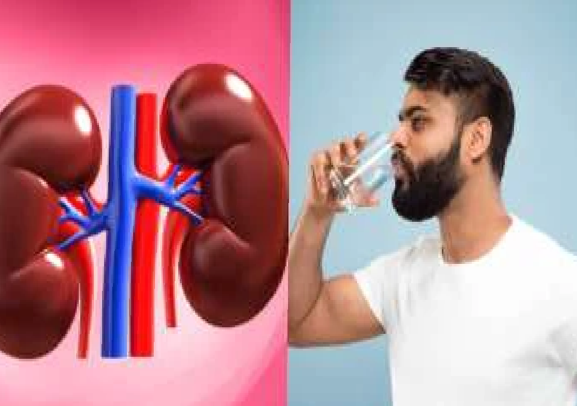 The Importance of Hydration for Kidney Health: How Much Water Should ...