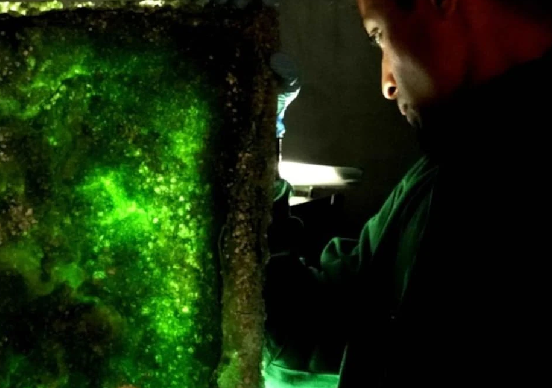 Indian Student at UCL Develops Groundbreaking Carbon-Sequestering ...