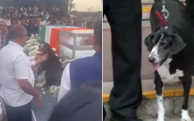 Ratan Tata's Beloved Dog Goa Pays Tribute | News Karnataka