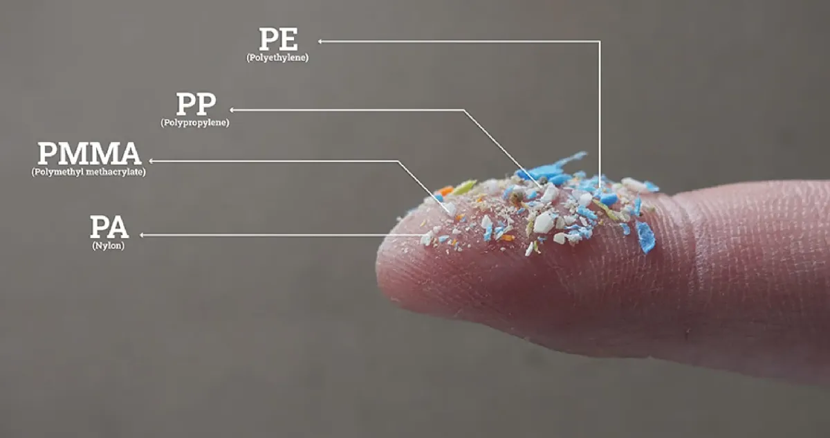 Microplastics linked to cancer and respiratory issues: urgent action ...