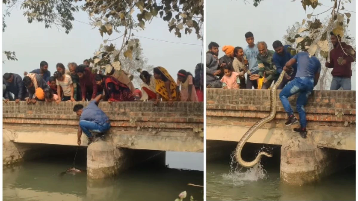 Man pulls giant python from river with bare hands, netizens angry ...