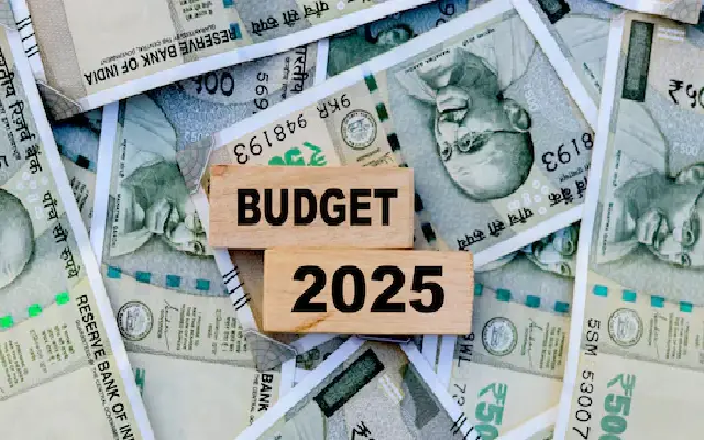 Budget 2025: Big Expectations, Bland Execution