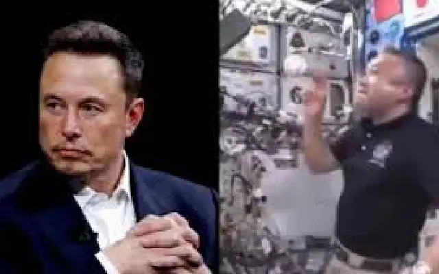 Elon Musk shares viral video of astronaut playing baseball in space ...