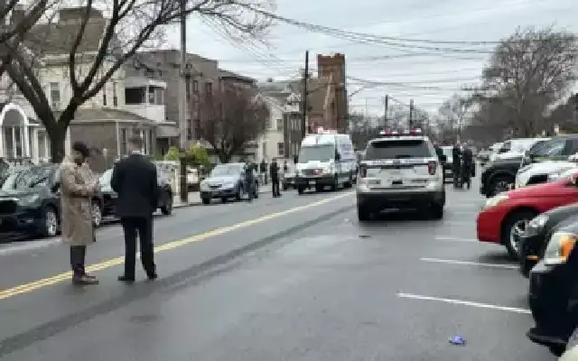 Brooklyn Meat Cleaver Attack: Brave 11-Year-Old Saves Siblings Amid ...