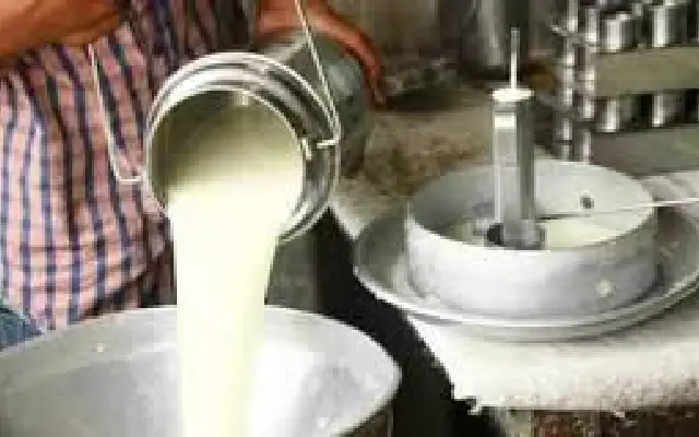 Chikkamagaluru to Get Its Own Milk Union After Bifurcation of Hassan ...