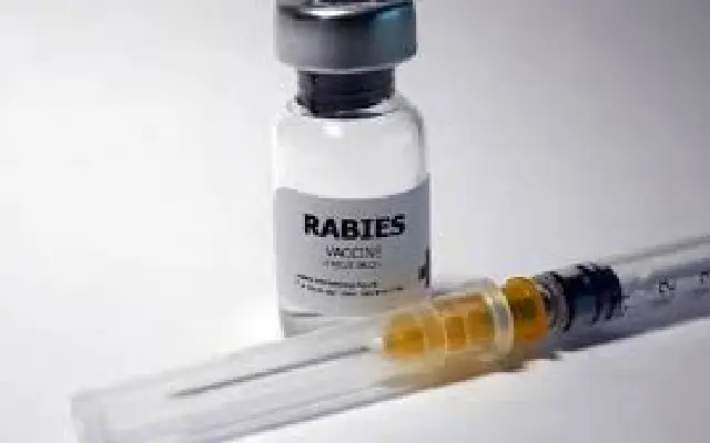 Bengaluru Lab Develops Oral Vaccine for Rabies in Free-Roaming Dogs