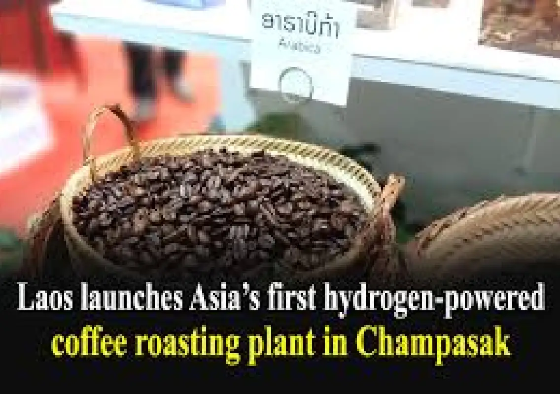 Hydrogen-powered roasting puts Laos coffee on global green map | News ...