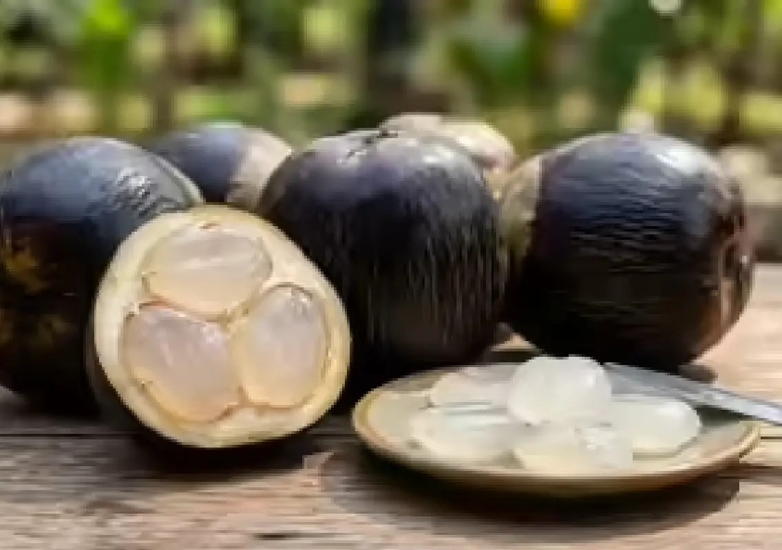 Why ice apple is becoming summer’s most refreshing fruit | News Karnataka