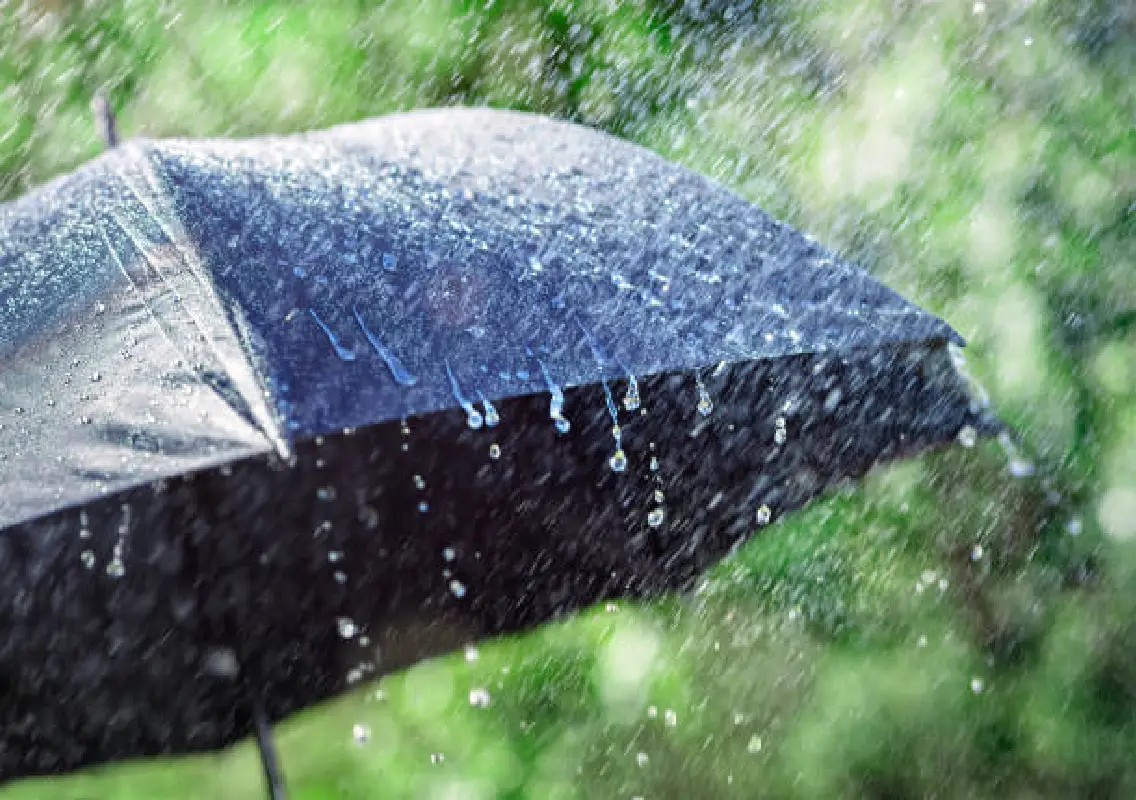 Dakshina Kannada to receive heavy rain from June 21 | News Karnataka